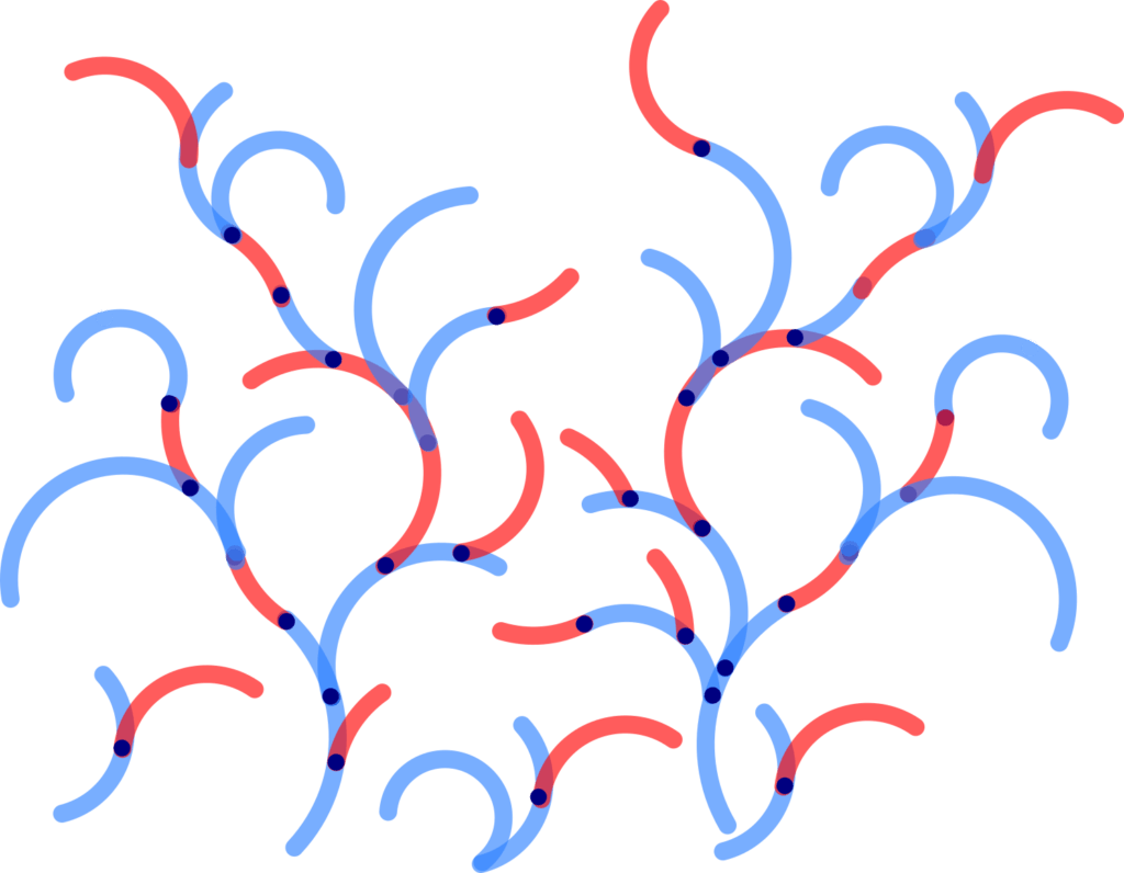 ILCB | Institute of Language, Communication and the Brain