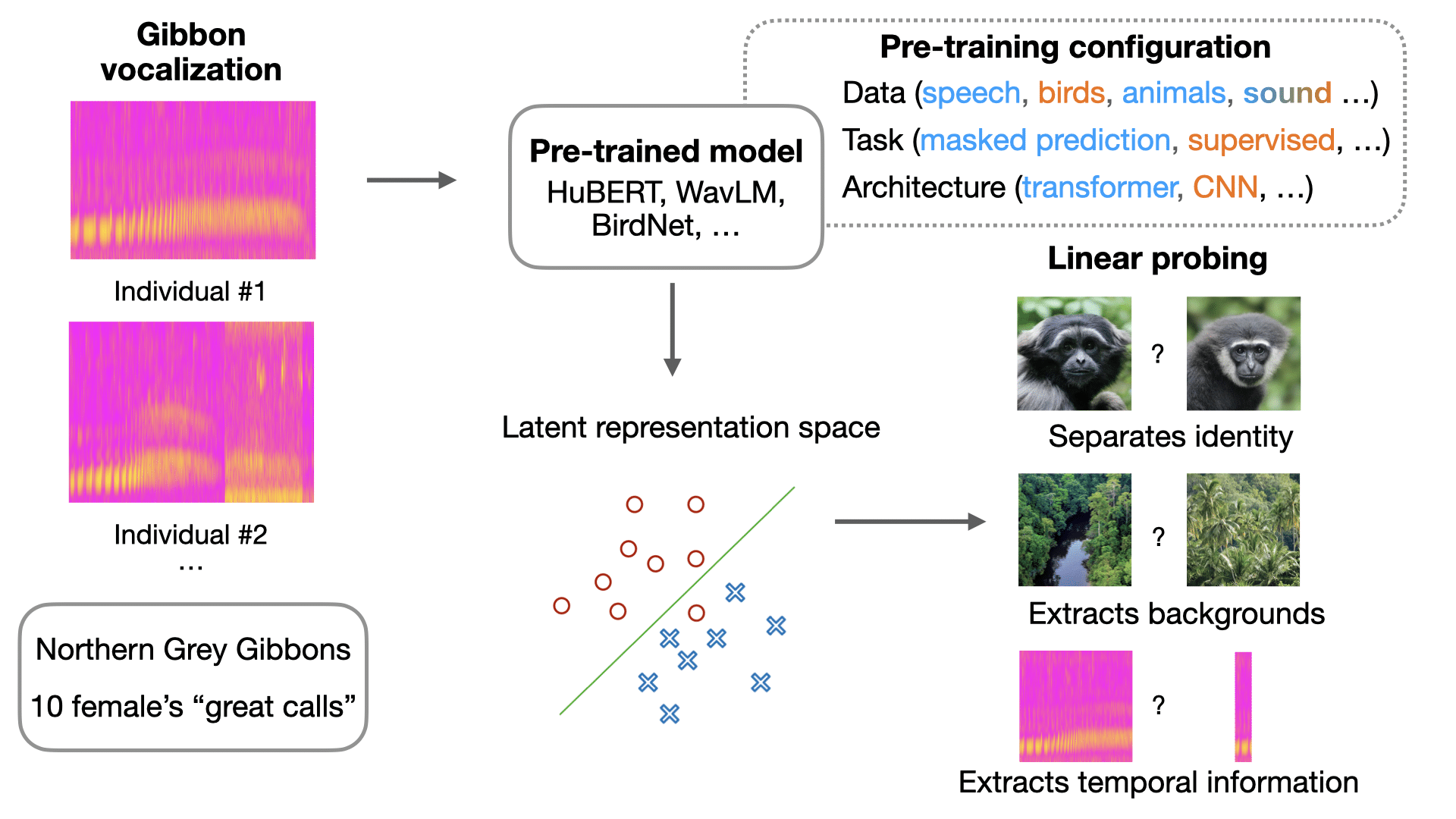 Self-supervised models pre-trained on speech extract meaningful information from non-human ...